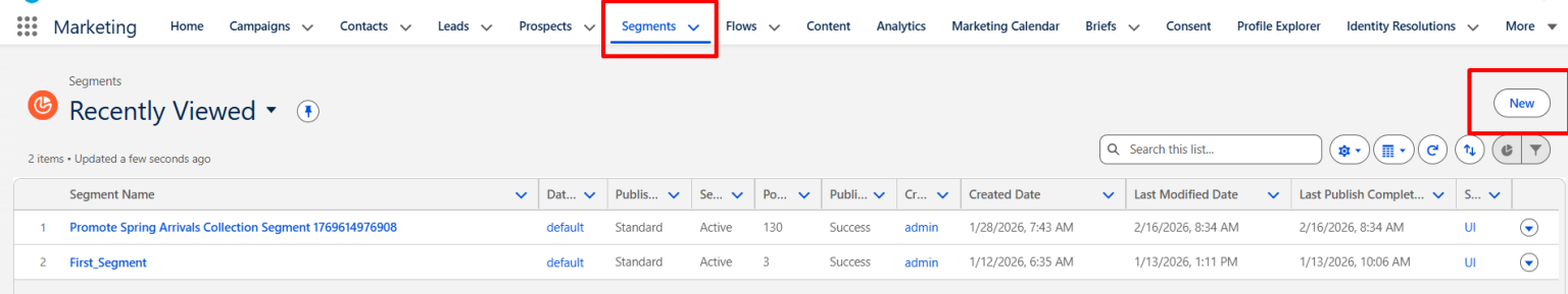 How to Create Segments in Salesforce Marketing Cloud Next