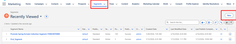 How to Create Segments in Salesforce Marketing Cloud Next